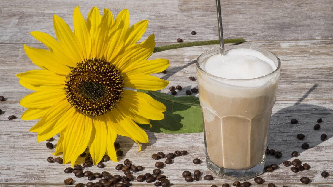 Jabol – czym tak naprawdę jest tanie wino? - Tapster.pl